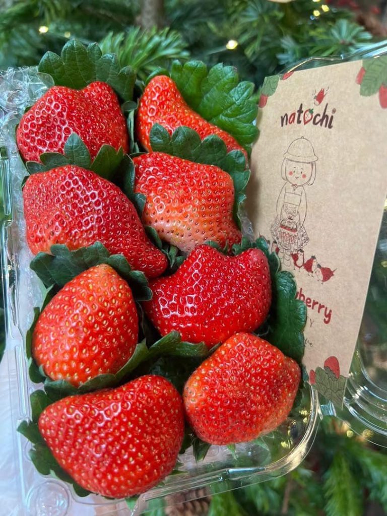 Trang chủ - Ai Fruit Boxes, mang đến trái cây tươi ngon chuẩn chất lượng